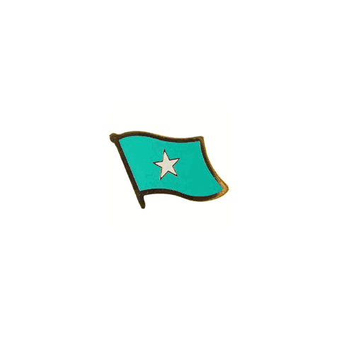 Somalia Flag Pin - Country Flag Pins - PriorService.com
