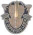 Special Forces Pin - Special Forces Pins - PriorService.com