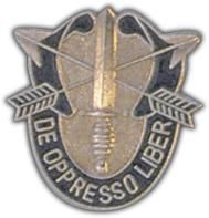 Special Forces Pin - Special Forces Pins - PriorService.com