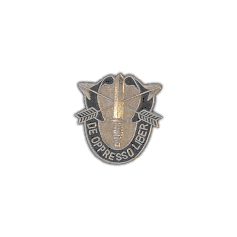 Special Forces Pin - Special Forces Pins - PriorService.com