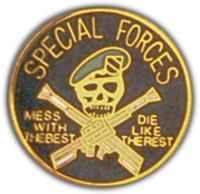 Special Forces Pin - Miscellaneous Army Pins - PriorService.com
