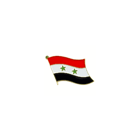 Syria Flag Pin - Country Flag Pins - PriorService.com
