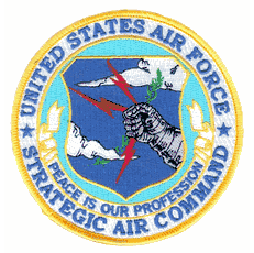 Military Unit Patches – Military Patches – Embroidered Military Patches ...