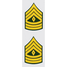 Army Rank Decals , Military Gifts and more at PriorService.com