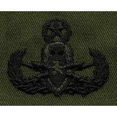 Army Subdued Embroidered Badges , Military Gifts and more at ...
