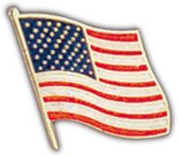US Flag Pin - Patriotic and USA Themed Pins - PriorService.com