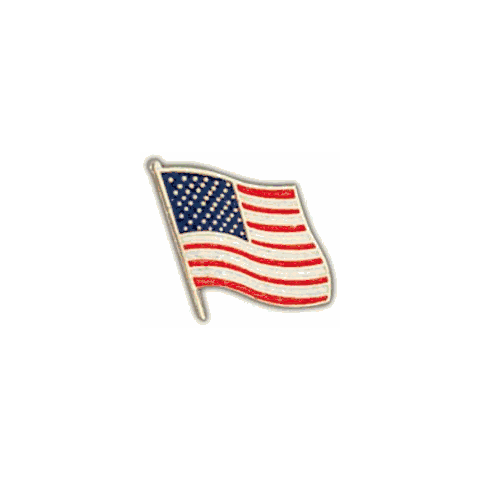 US Flag Pin - Patriotic and USA Themed Pins - PriorService.com