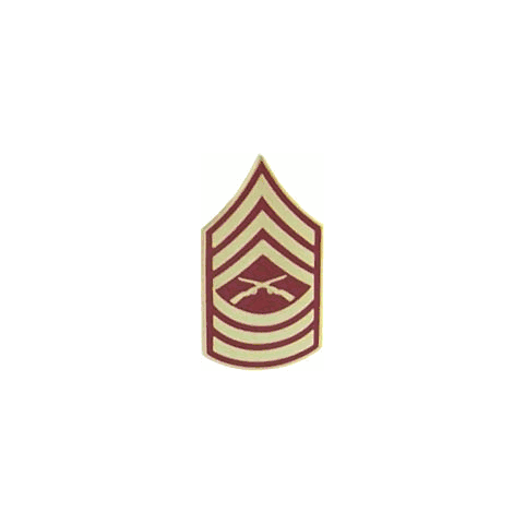 US Marine Corps Master Sergeant E-8 Pin - US Marine Corps Rank Pins ...