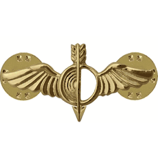 US Navy Gold Collar Devices , Military Gifts and more at PriorService.com