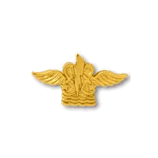 US Navy Gold Collar Devices , Military Gifts and more at PriorService.com