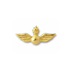 US Navy Gold Collar Devices , Military Gifts and more at PriorService.com