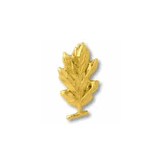 US Navy Gold Collar Devices , Military Gifts and more at PriorService.com