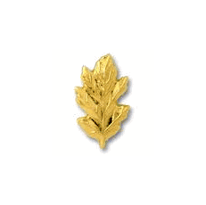 US Navy Gold Collar Devices , Military Gifts and more at PriorService.com