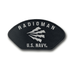 US Navy Radioman Patch - US Navy Ratings Patches - PriorService.com