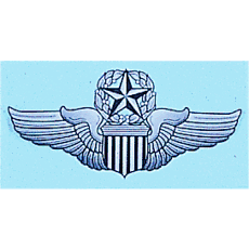 Wings Decals , Military Gifts and more at PriorService.com