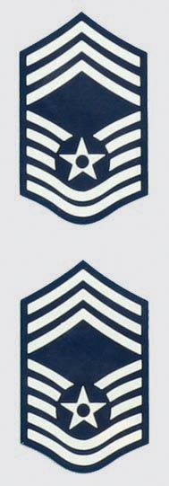 USAF E-9 Chief Master Sergeant Decal