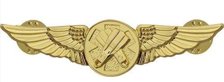 USCG Rescue Swimmer Badge