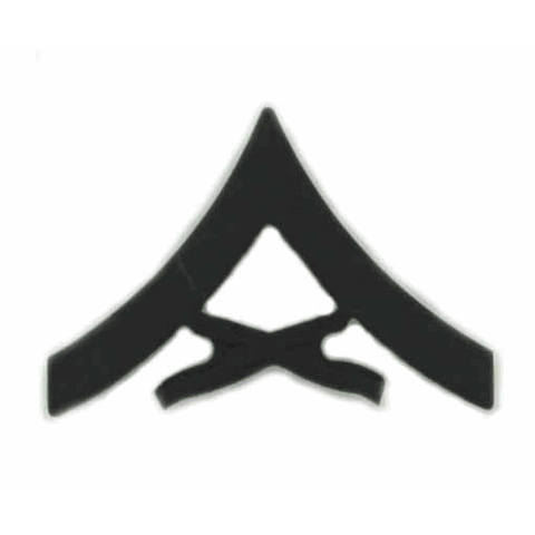 USMC Lance Corporal E-3 Collar Rank Pair - Marine Corps Subdued Collar ...