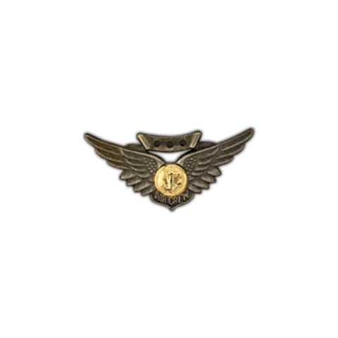 USN Air Crew Large Pin - New Large Pins - PriorService.com