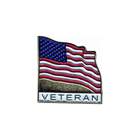 Veteran with American Flag Lapel Pin - Military Pins - PriorService.com