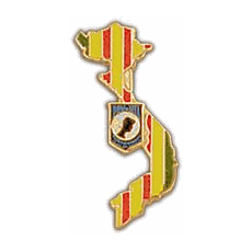 USA/POW Flag Pin - P.O.W. Pins - PriorService.com