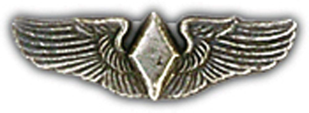 Wasp Wings Pin