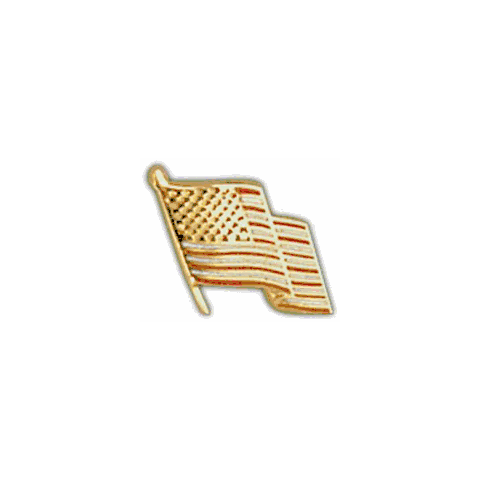 Waving Flag Pin - Patriotic and USA Themed Pins - PriorService.com