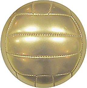 Baden Brand Bright Metallic Gold Toy Mini Volleyball / Autograph Trophy ...