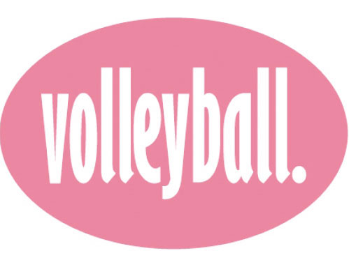 Large Pink and White Volleyball Word Vinyl Adhesive Decals - Sport ...