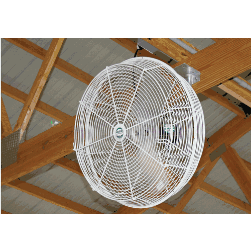 Variable Speed Fan