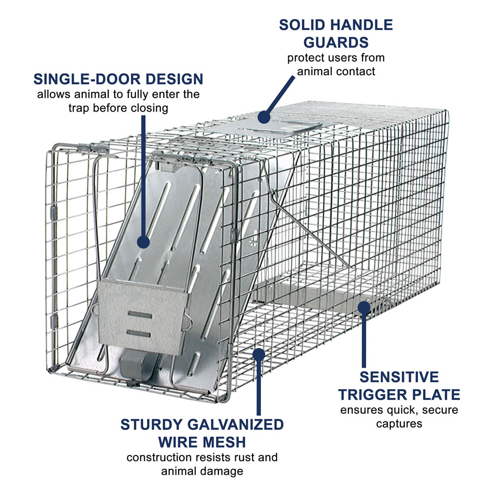 Havahart Live Cage Raccoon Trap
