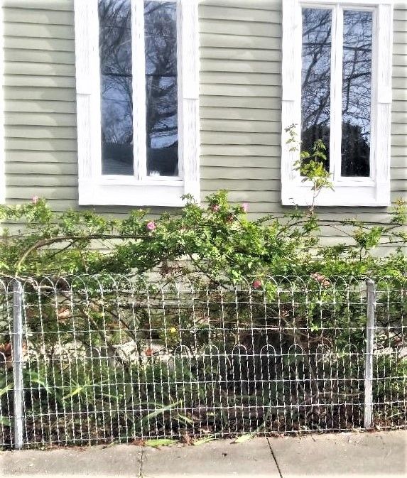 100' x 4' Tall Double Loop Galvanized Wire - Ornamental Loop Wire