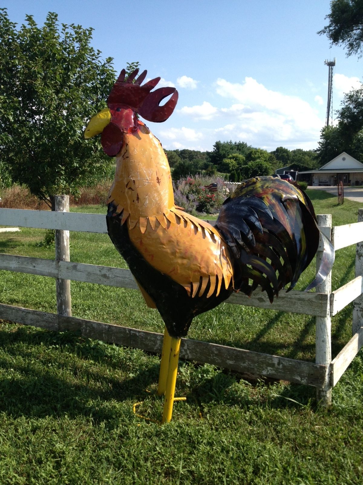 11' Tall Outdoor Yard Art Rooster - Metal Chicken Sculpture