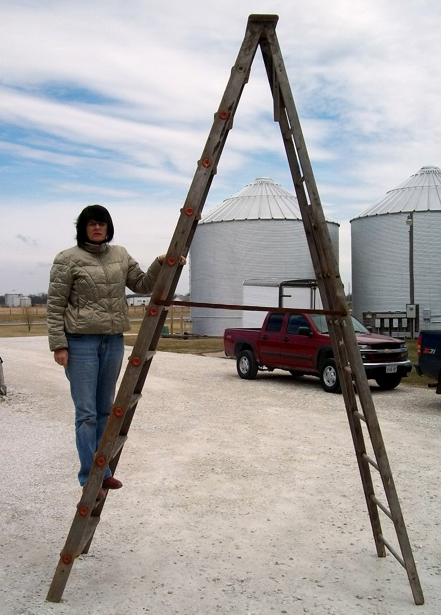 12 Step Tall Antique Wooden Ladder
