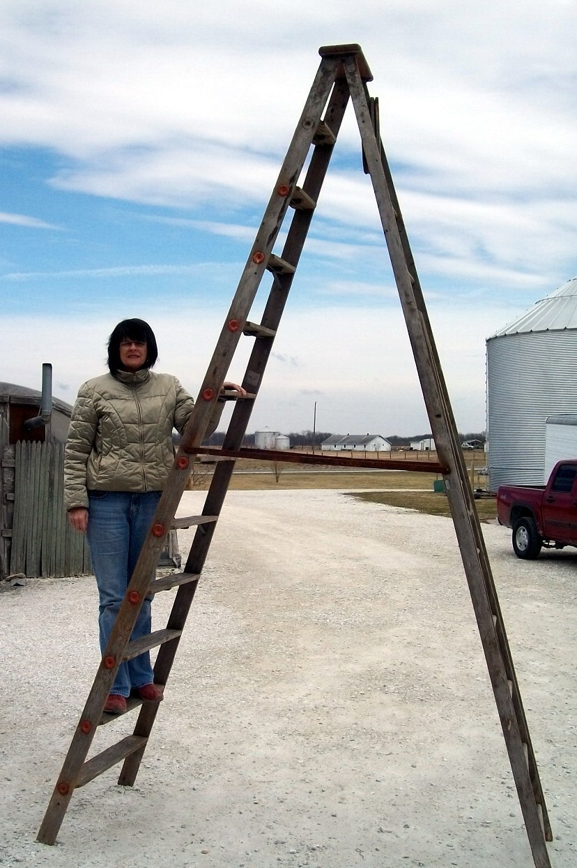12 Step Tall Antique Wooden Ladder