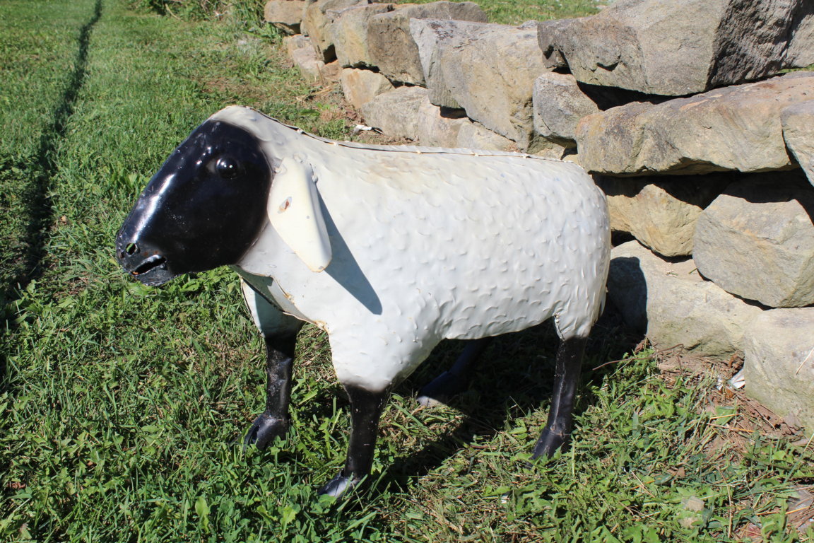 19" Recycled Metal Sheep Farm Animal Barnyard Creatures