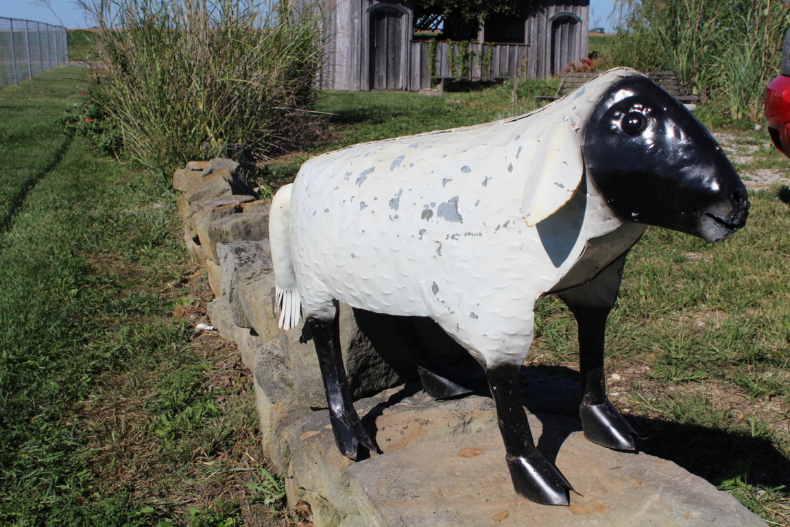 19" Recycled Metal Sheep Farm Animal Barnyard Creatures