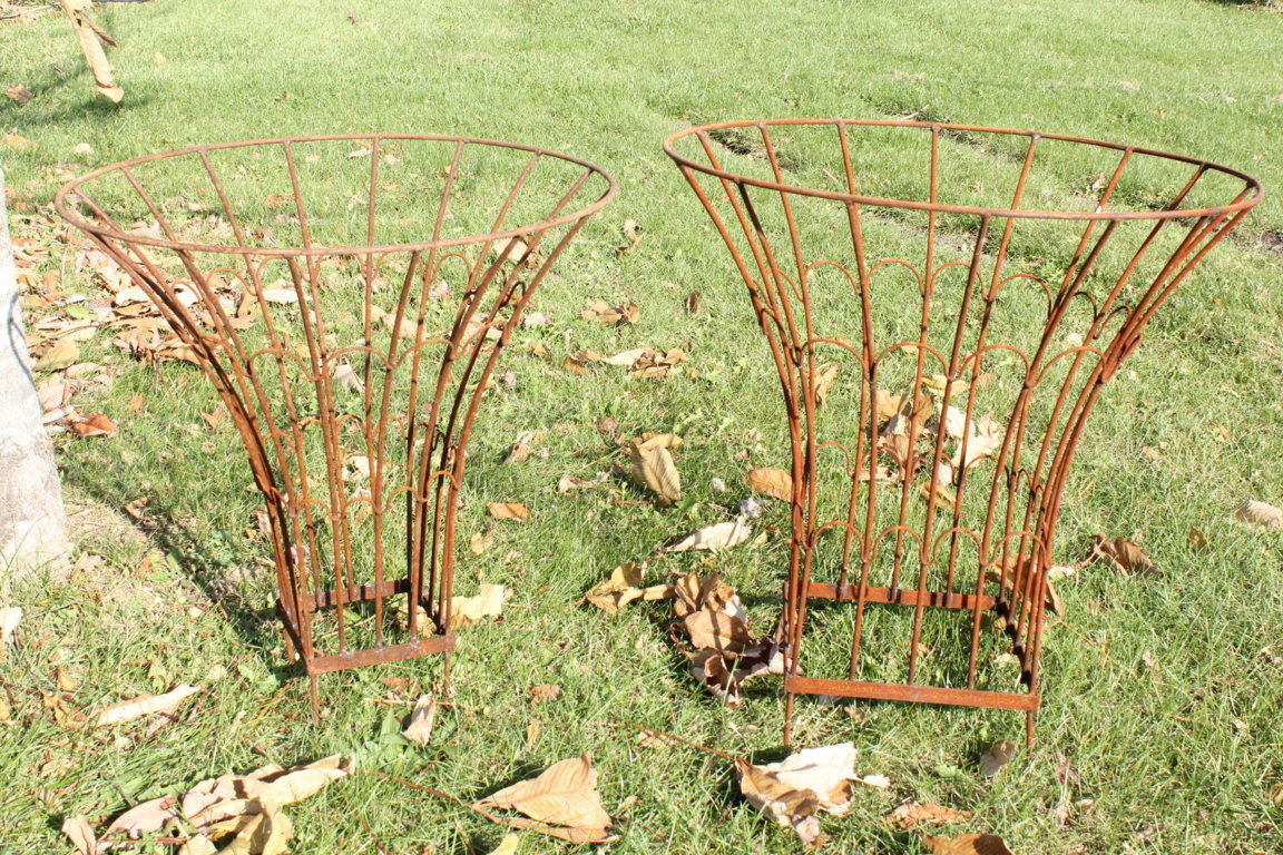 Large Wrought Iron Cone Topiary - Peony Bush Support - Tomato Cage