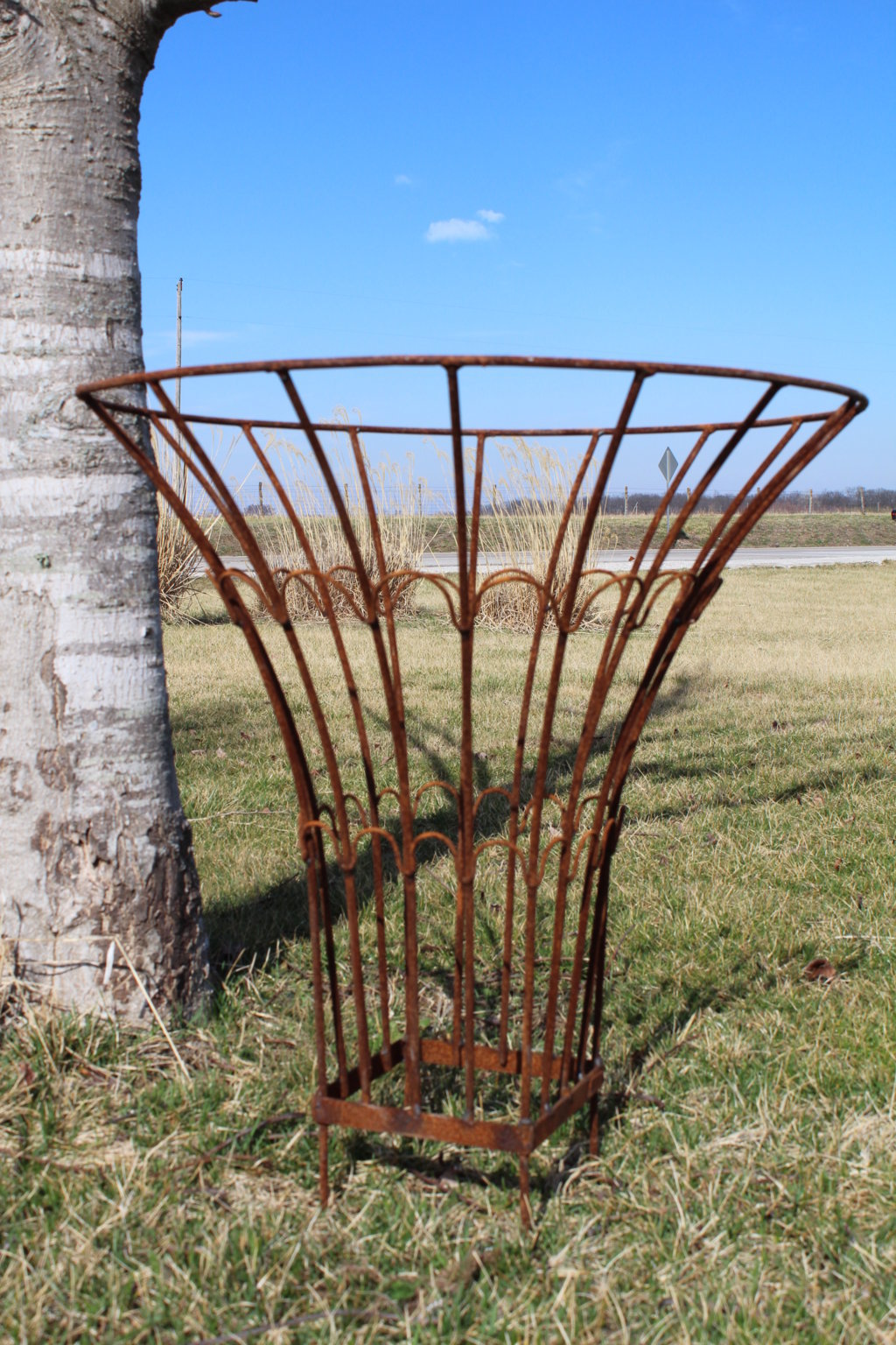 25" Wrought Iron Cone Topiary - Peony Bush Support