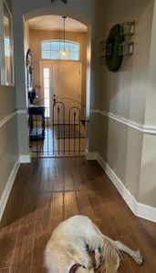 3' Standard Gate for Inside Doggy Gate