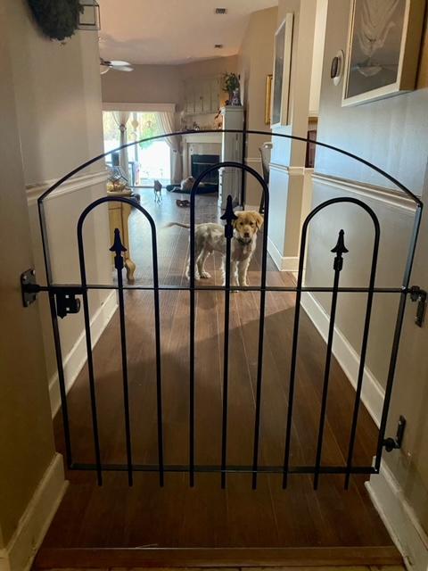3' Standard Gate for Inside Doggy Gate