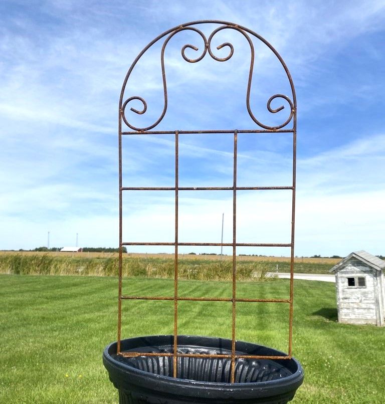 31" Wrought Iron Round Top Trellis - Metal Plant Support