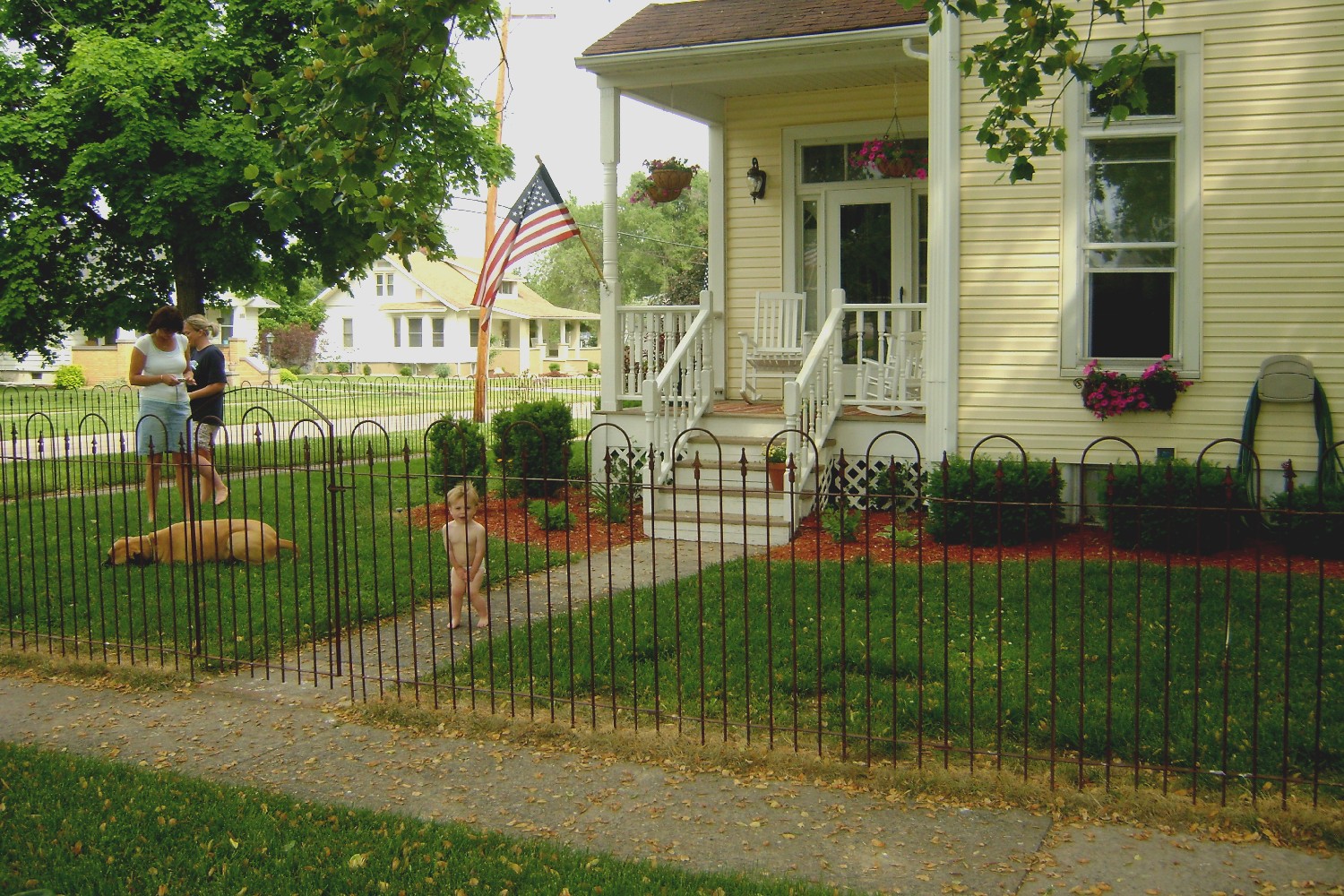 4' Tall Wrought Iron Interlocking Fence