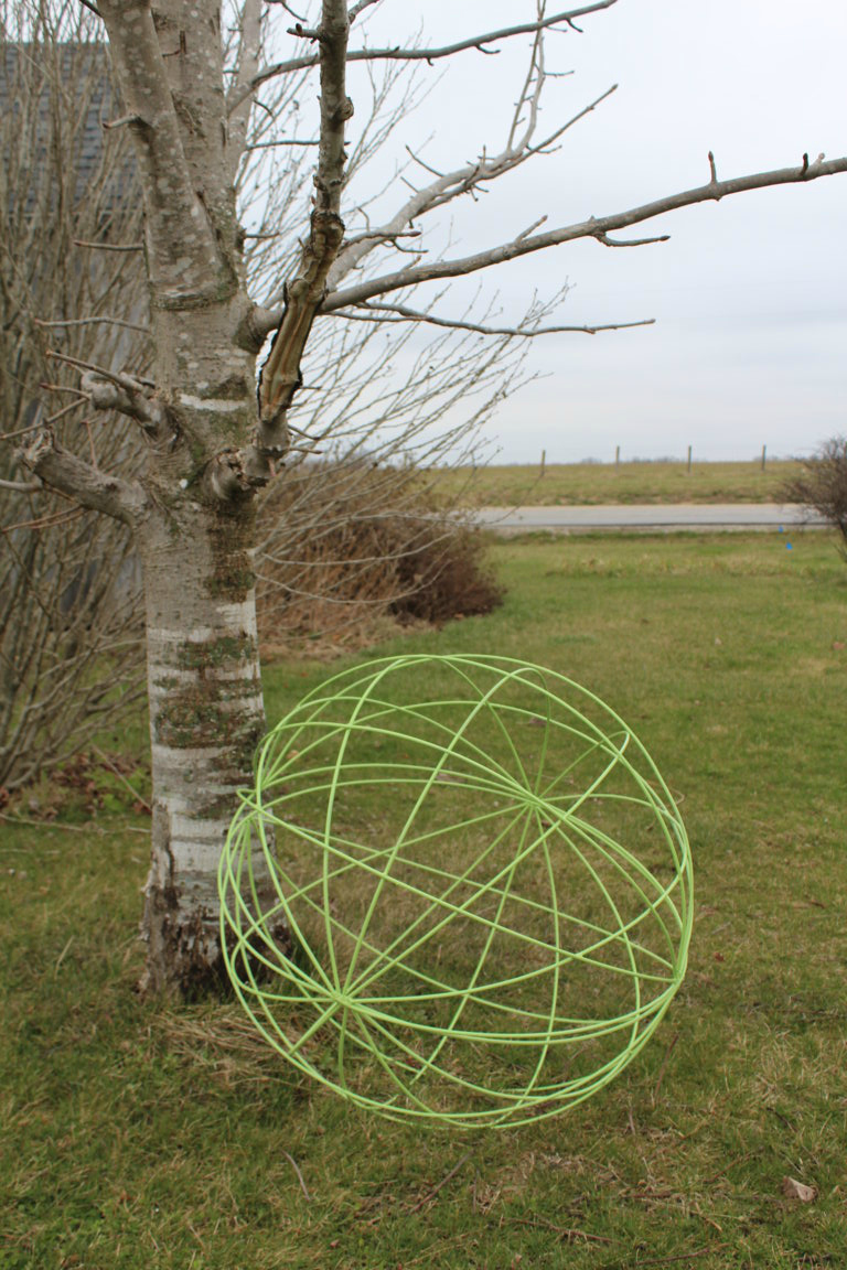 Topiary Ball Forms