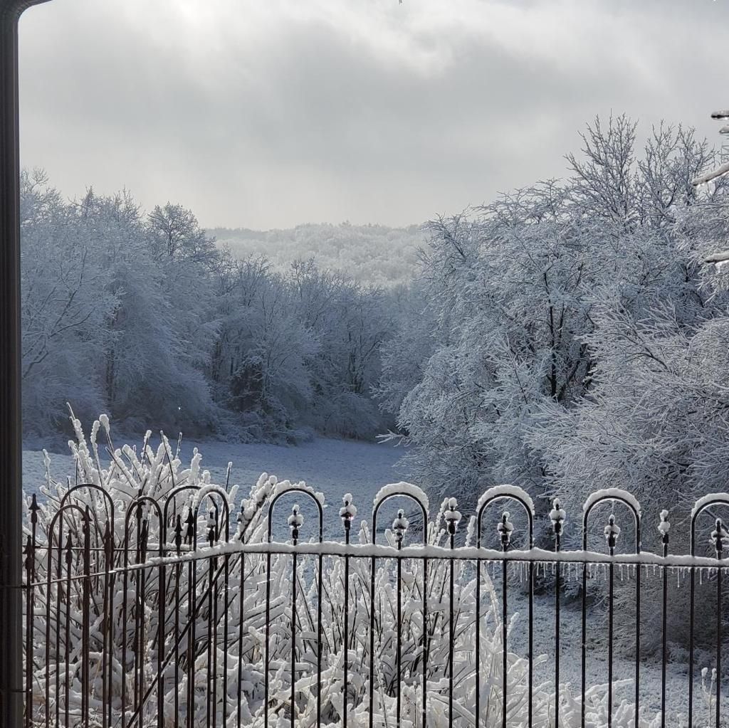 4ft Wrought Iron Fence In Winter - Perimeter Metal Fencing