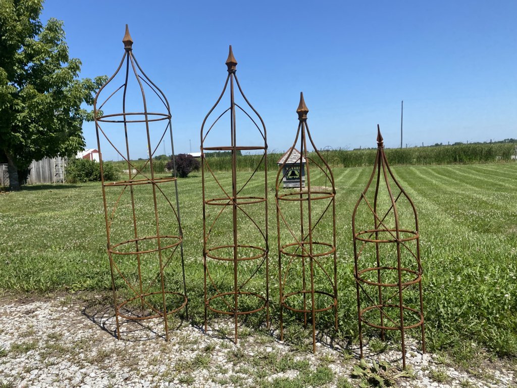Wrought Iron Rose Obelisk - Flower Topiary