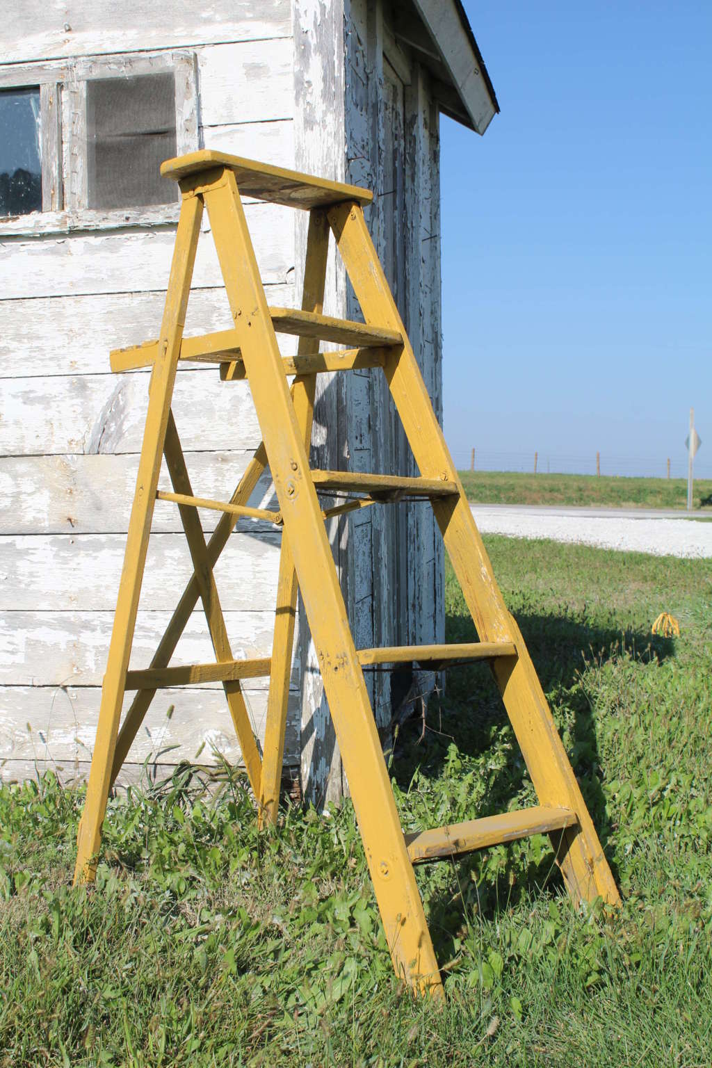 5 Step Ladder for Decorating Your Home