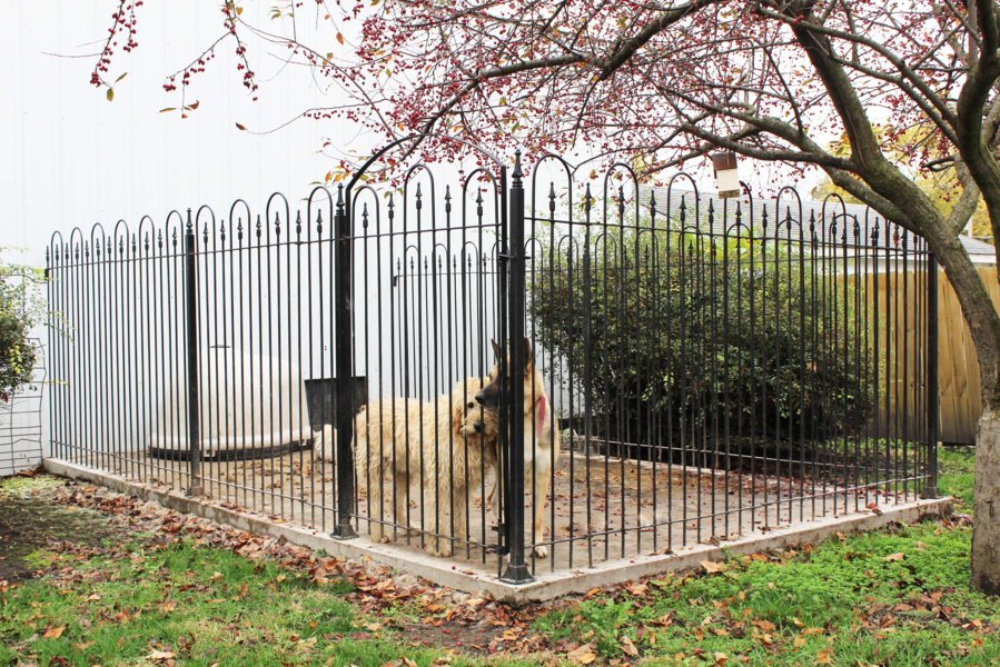 5' Tall Interlocking Wrought Iron Fence Panel