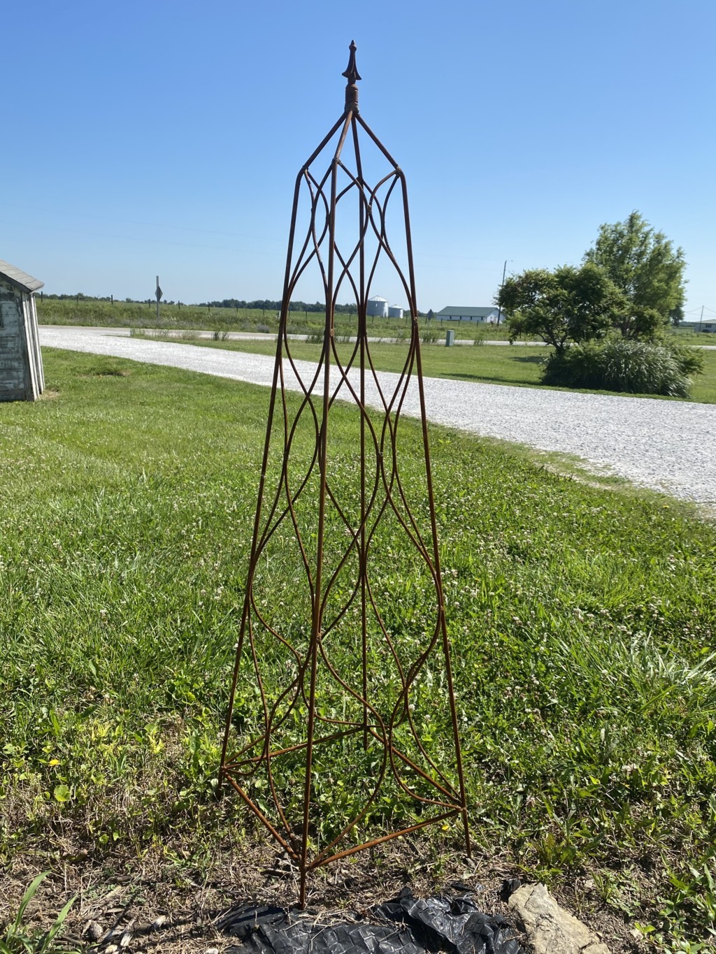 55" Wrought Iron Square Topiary Plant Support