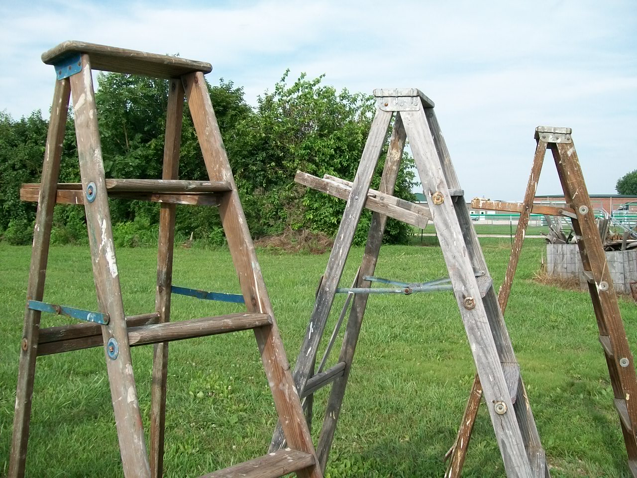 Decorating With Old Step Ladders | Shelly Lighting